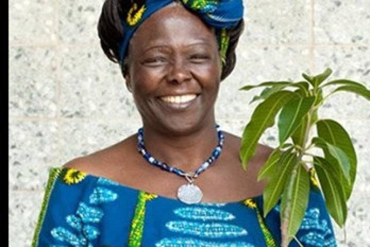 When we plant Trees we plant the Seeds of Hope & Peace - Prof. Wangari Maathai | Wangari Maathai ...
